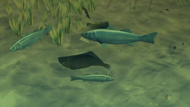 Verizon Innovative Learning: An Educational Initiative About Verizon