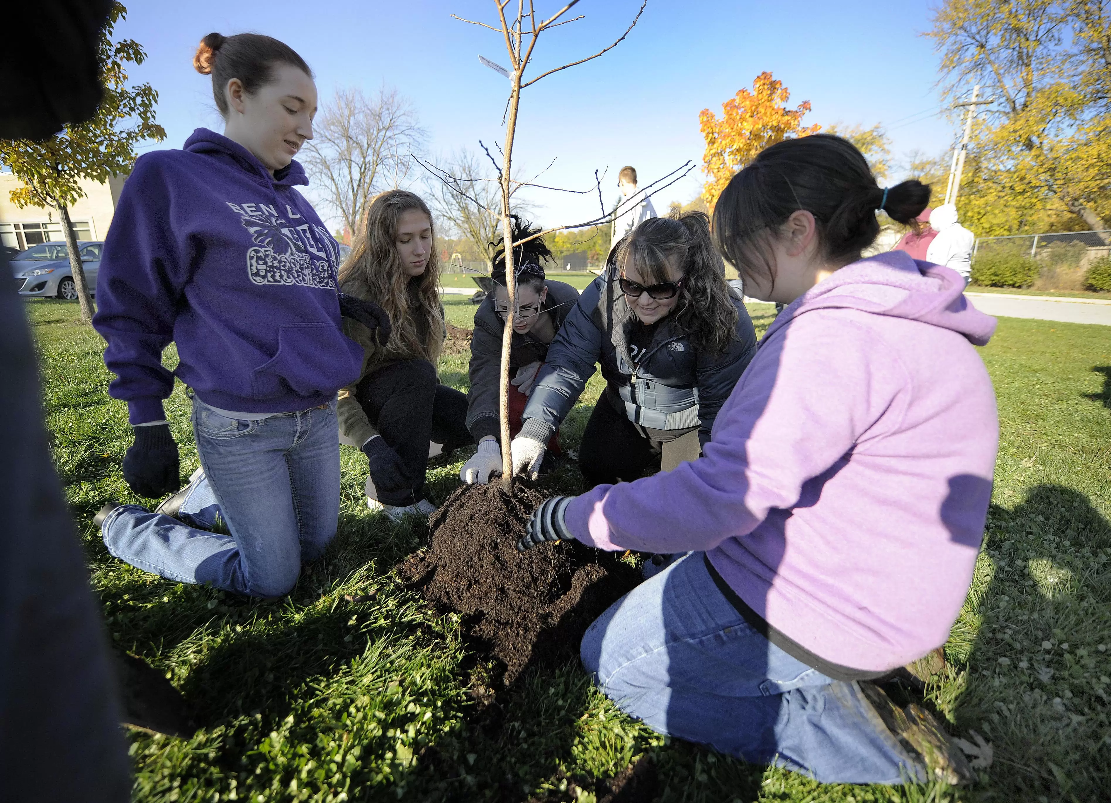 Sustain a School: Plant a Tree With Verizon Foundation & Keep ...