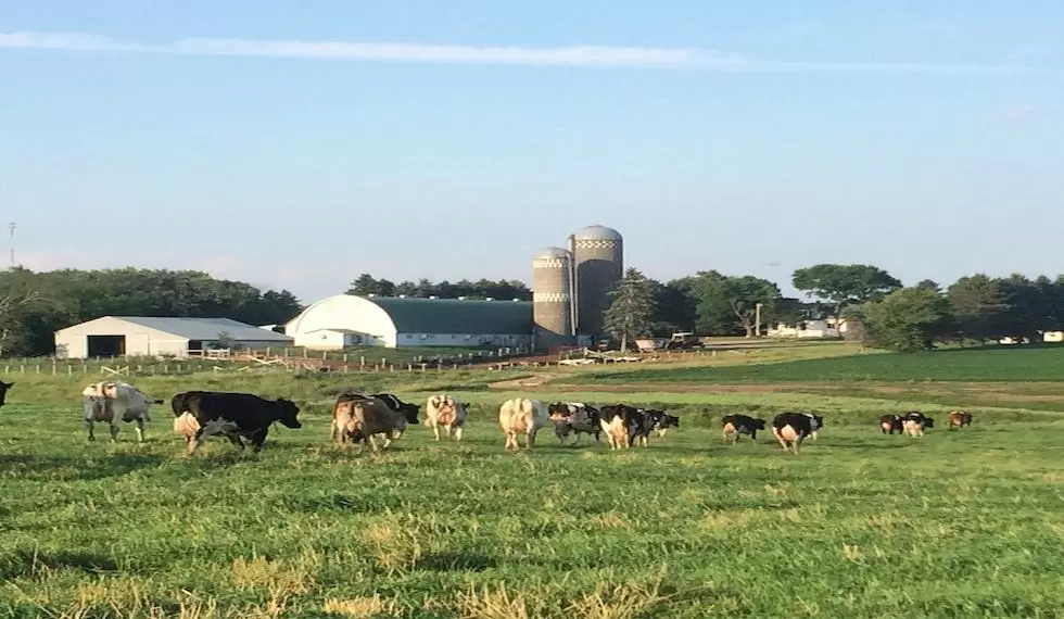 Dairy Farming With Tech - Staying Connected & Informed | Featured News ...